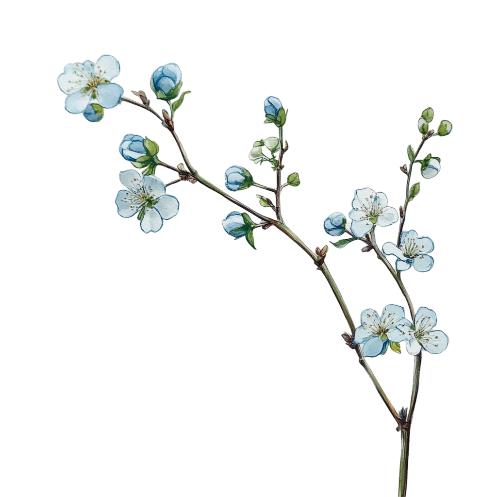 Free: Delicate Curved Branch with Soft Blue Flower Buds - nohat.cc