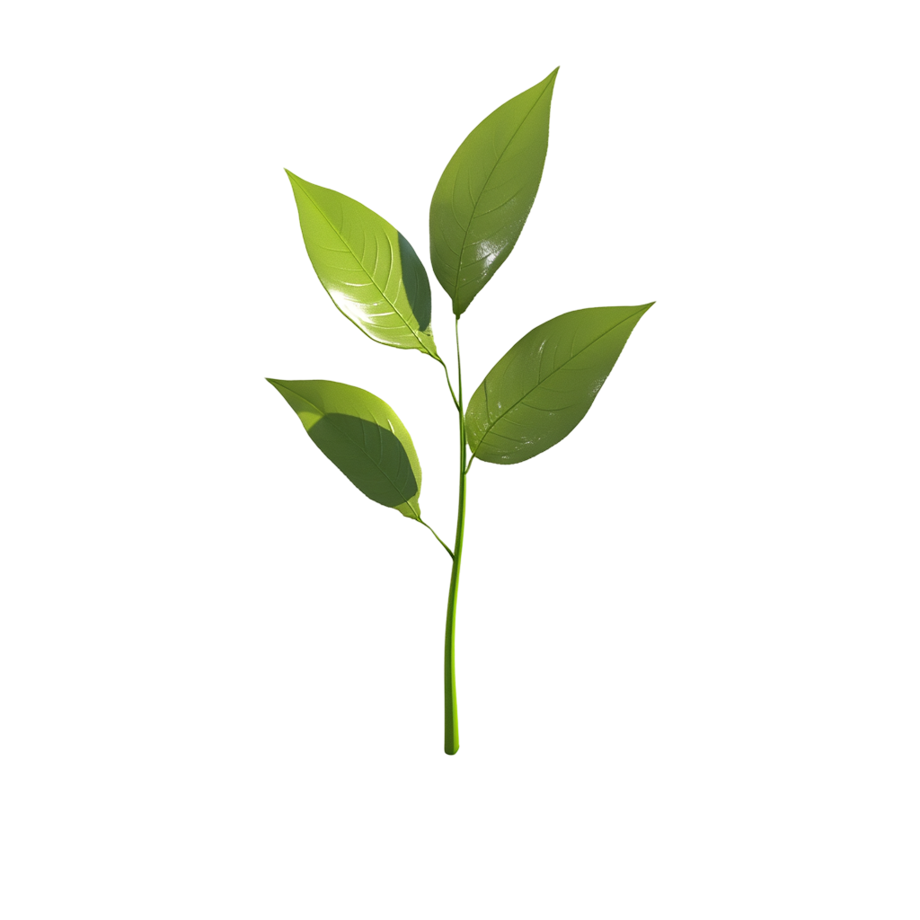 Free: Plant Power: 3D Shadows and Vibrant Life - nohat.cc