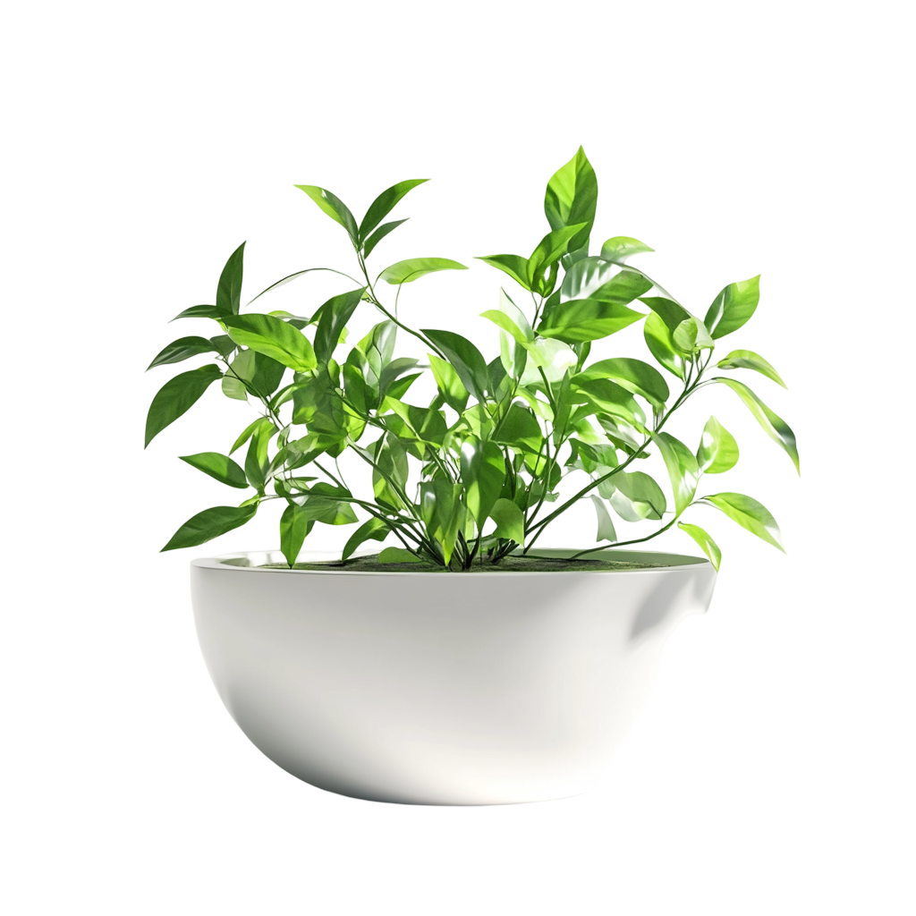 Free: Plant Power: 3D Shadows and Vibrant Life - nohat.cc