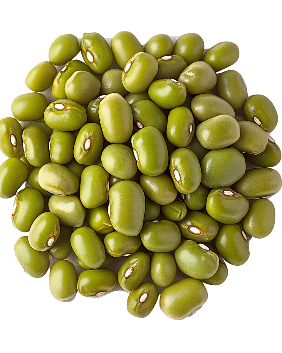 Free: Realistic Mung Bean with Textured Detail - nohat.cc