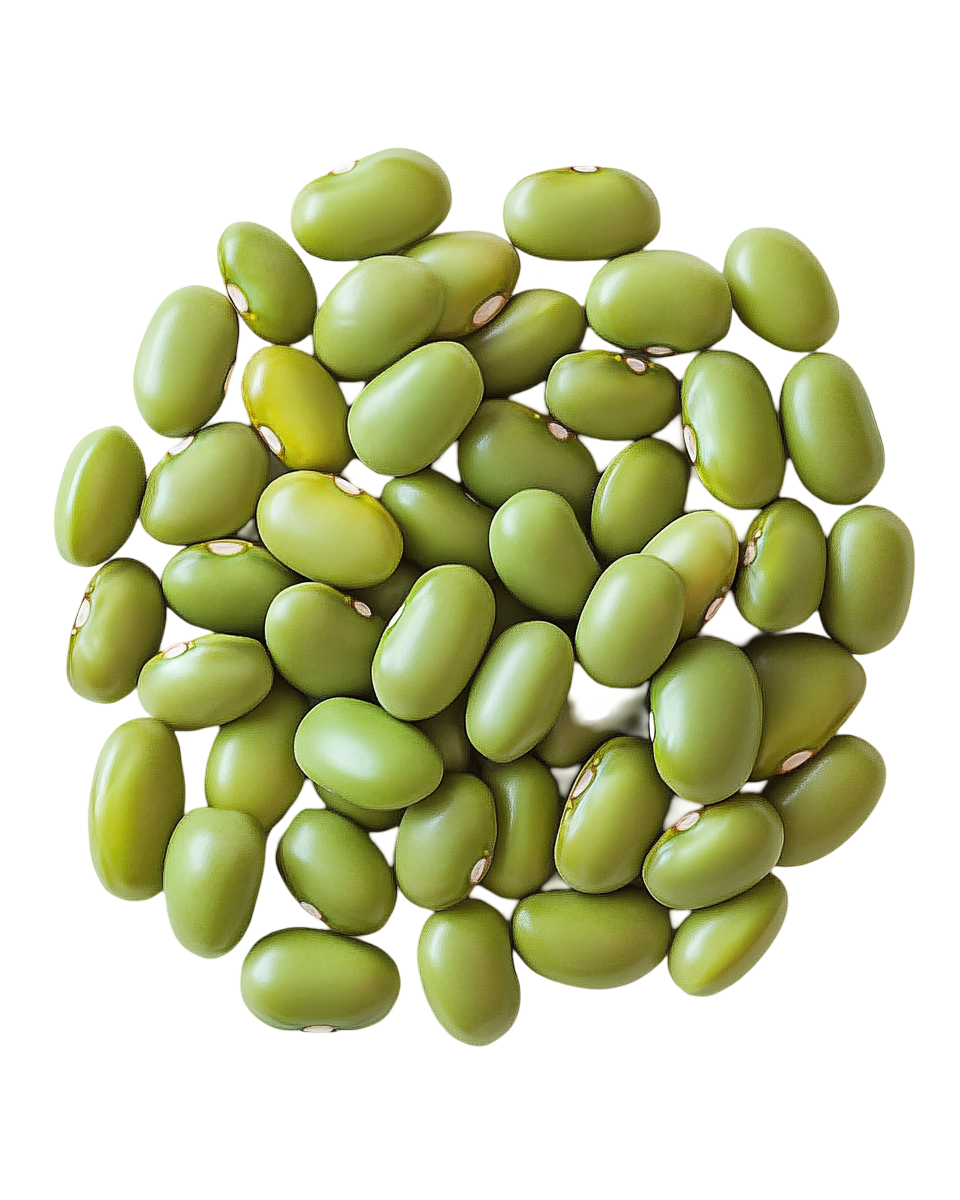 Free: Realistic Mung Bean with Detailed Textures - nohat.cc