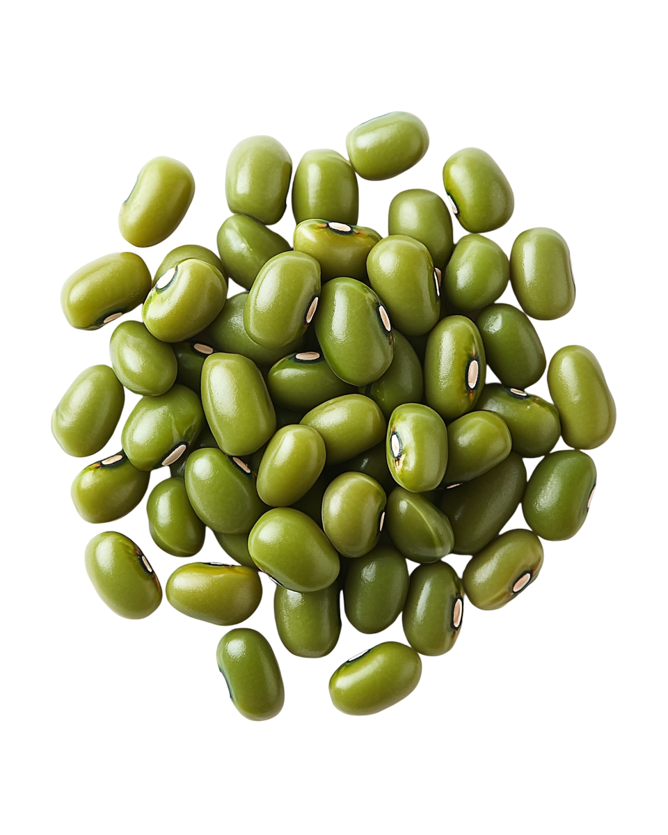 Free: Realistic Mung Bean with Detailed Textures - nohat.cc