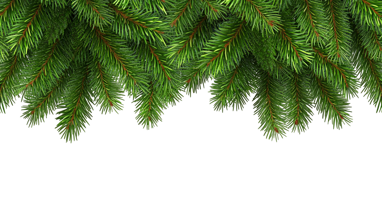 Free: Christmas Tree Border, rectangle shape, isolated —ar 16:9 —s ...