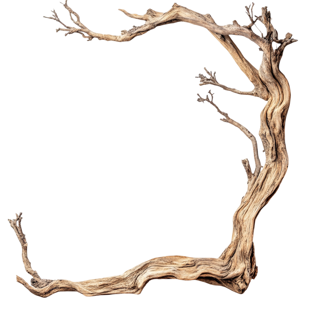 Free: Rustic Wooden Roots Border Frame for Elegant Decor - nohat.cc