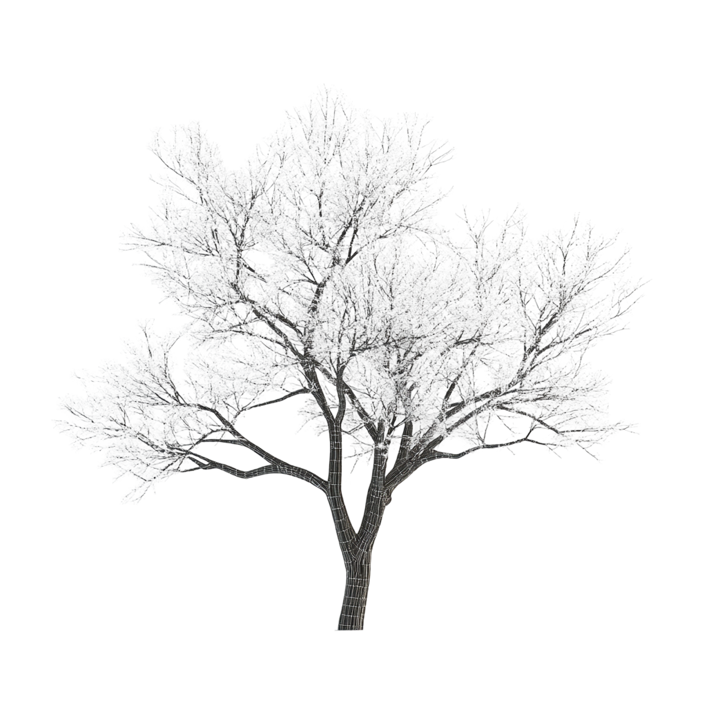 Free: Create a 3D model tree on a white background. It will look l ...