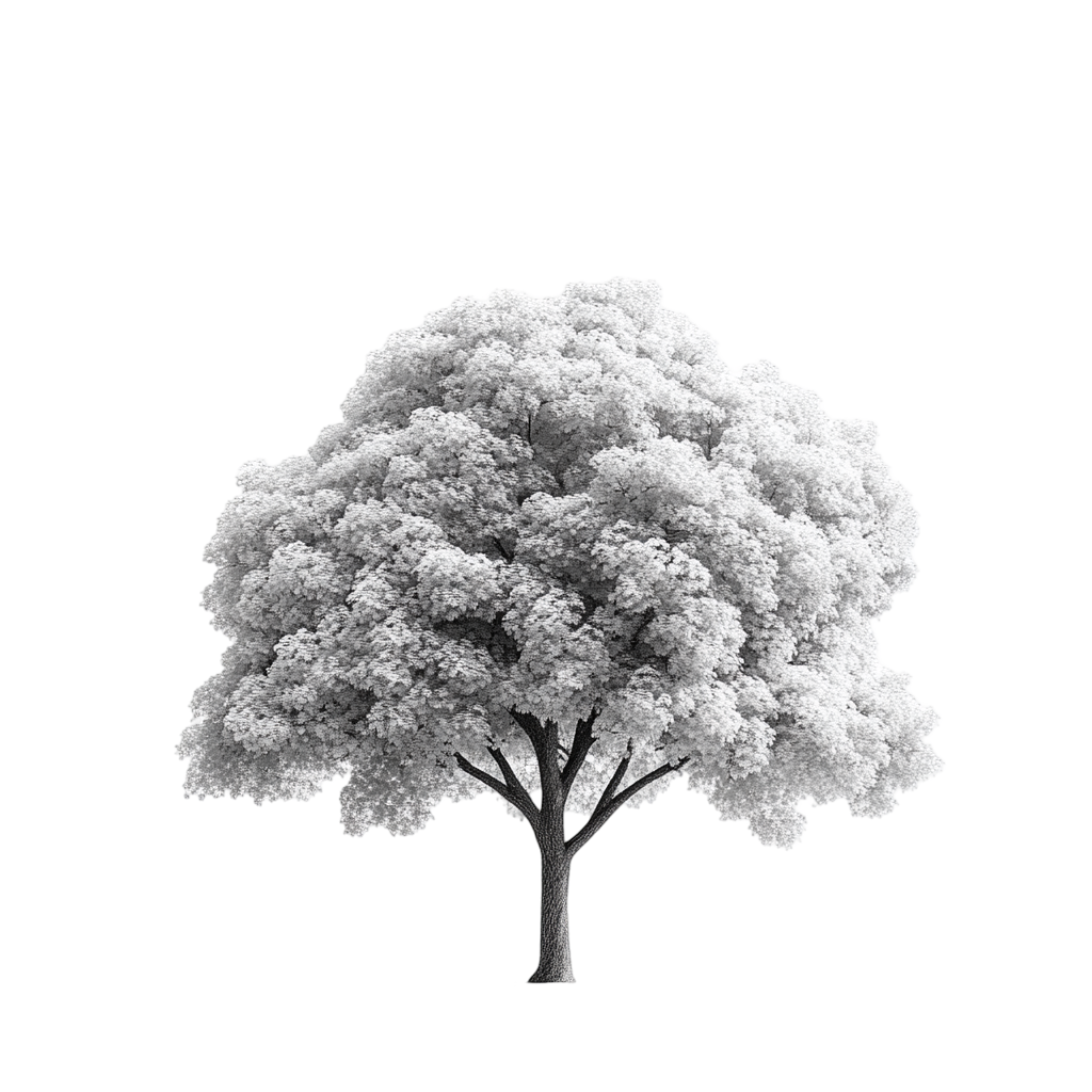 Free: Create a 3D model tree on a white background. It will look l ...